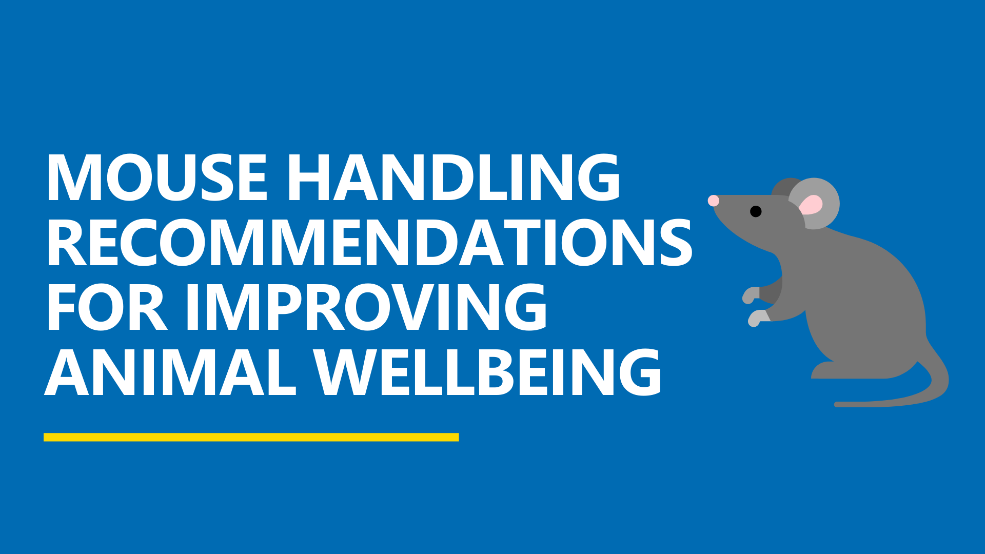 Download New Mouse Handling Recommendations Download New Mouse Handling Recommendations